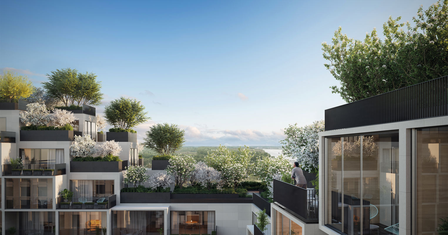 Nieuw Zuid: Extraordinary urban development by the river Scheldt ...