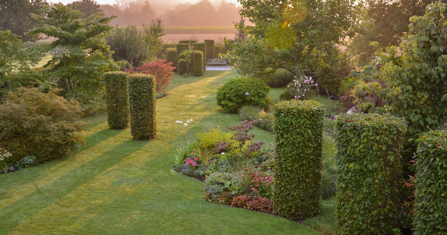 Bringing your garden back to life in spring | VILLAS Decoration